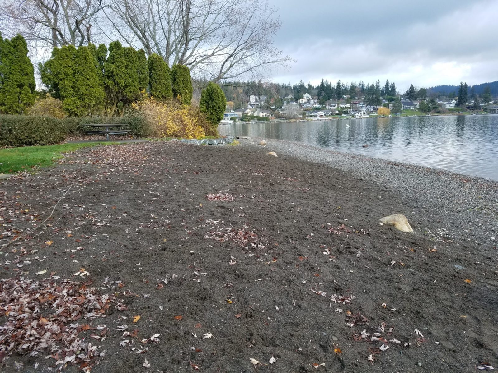 Beach Sand Filter - Stormwater Discovery Tours