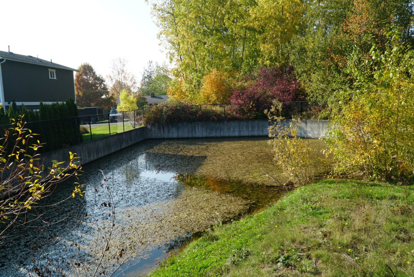 Barkley Trails - Stormwater Discovery Tours