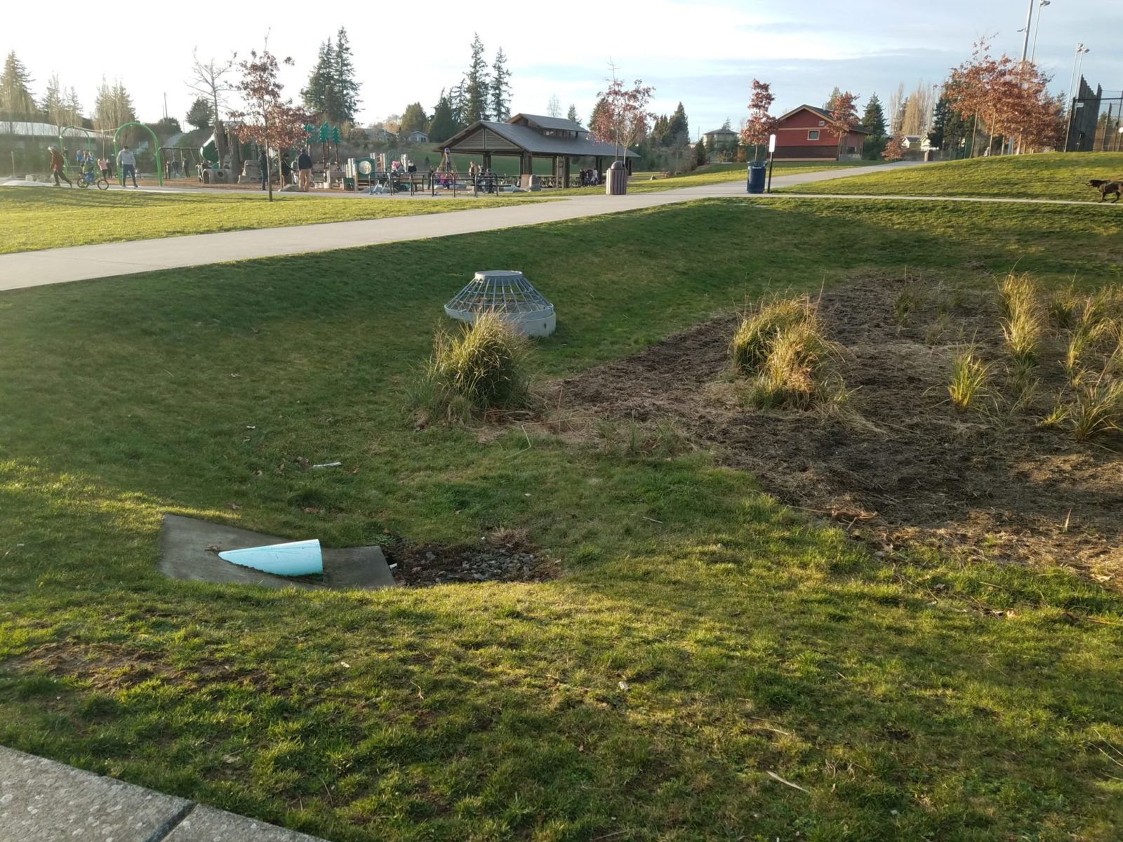 Large Parking Lot Rain Garden - Stormwater Discovery Tours